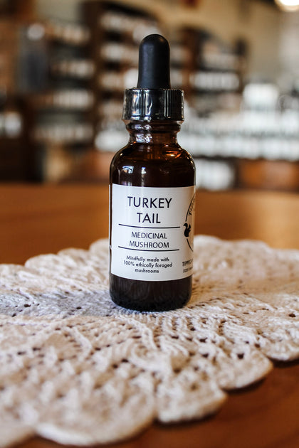 Turkey Tail Mushroom Tincture | Tippecanoe Herbs