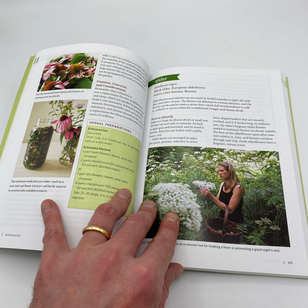 Book - Midwest Medicinal Plants - Identify, Harvest, and Use 109 Wild ...