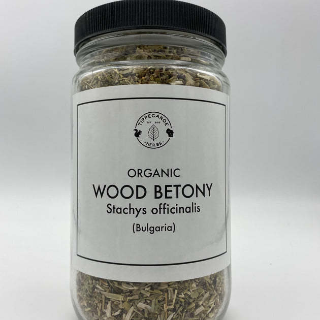 Wood Betony | Tippecanoe Herbs